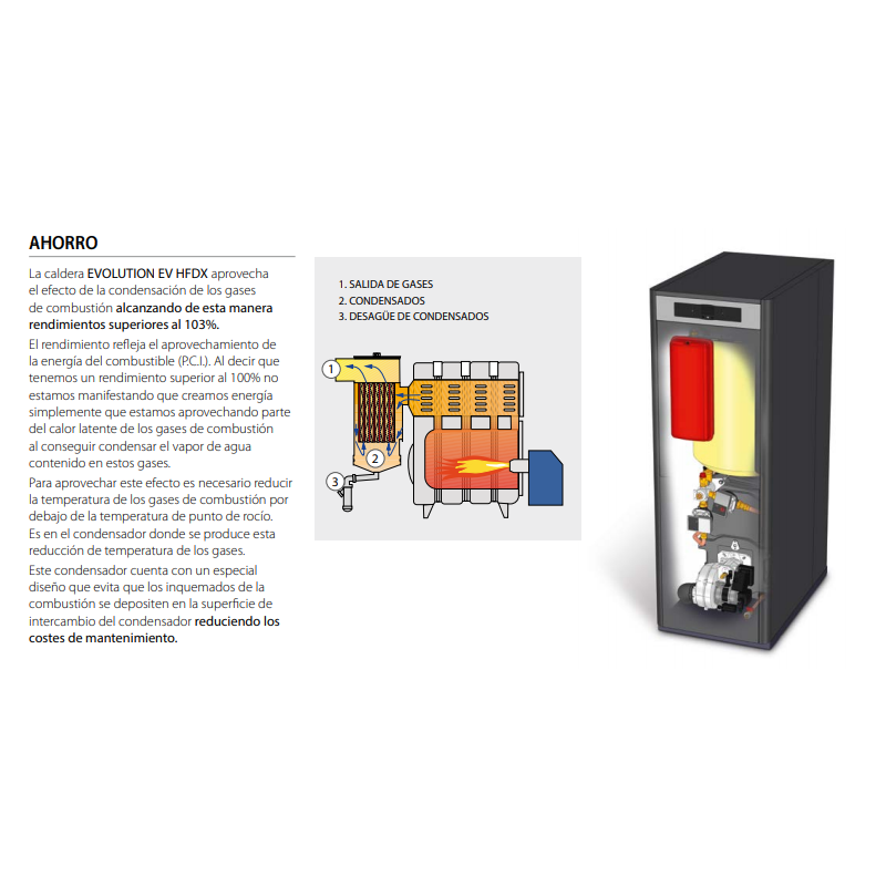 EVOLUTION EV HFDX Caldera de condensación a gasóleo Domusa